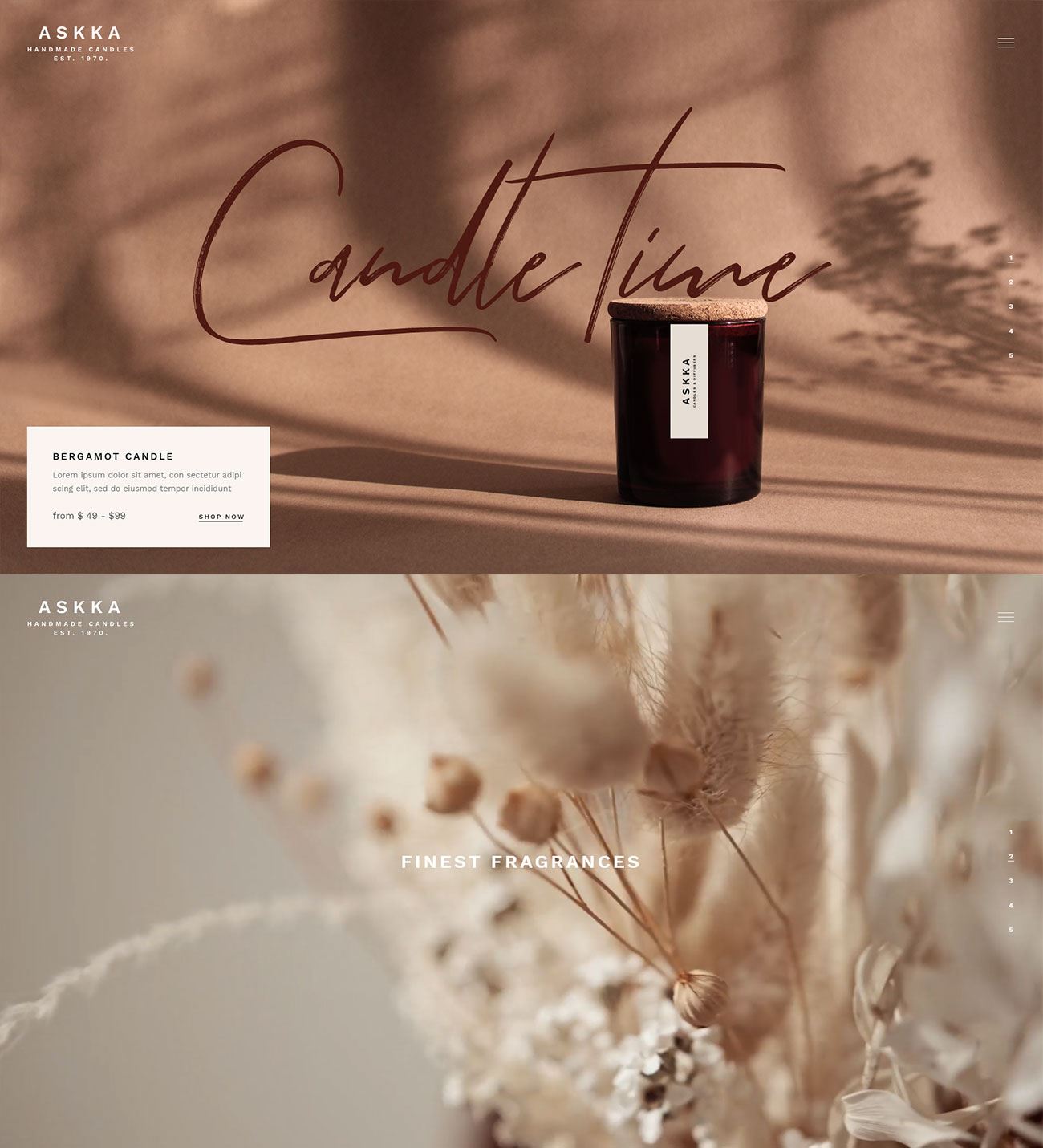 Landing – WINMAX (NAM TIEN EXPORT IMPORT BUSINESS JSC)