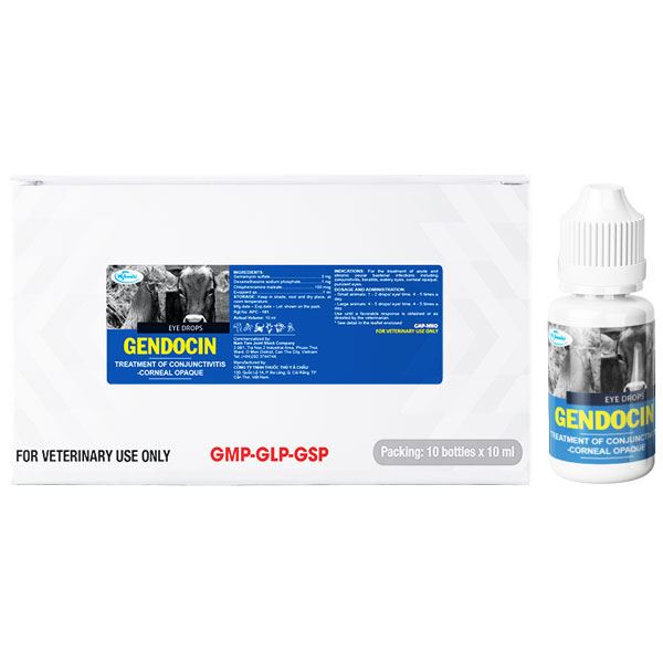 Gendocine 10 ml Eye Drops – WINMAX (NAM TIEN EXPORT IMPORT BUSINESS JSC)